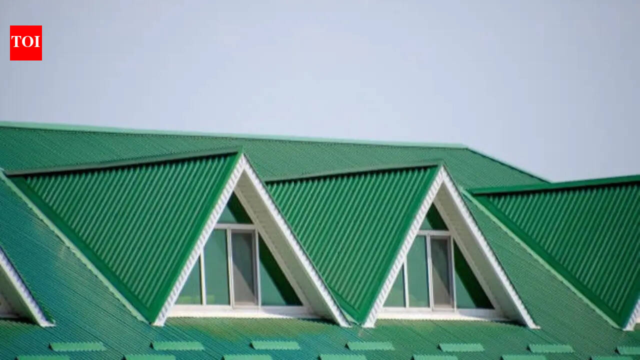 Keep your home cool this summer without an AC: 5 budget-friendly roof ...