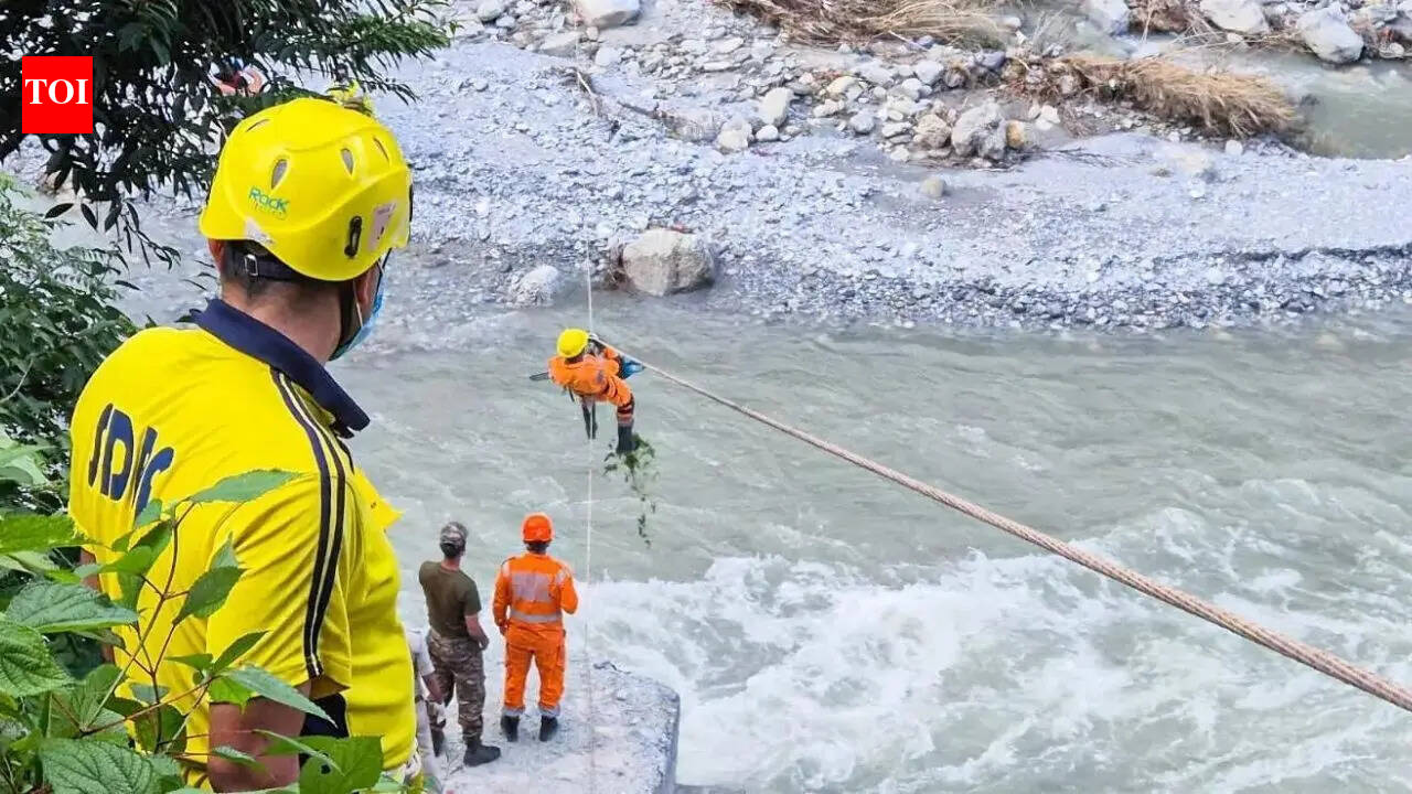 Noida trekker goes missing on Uttarakhand's Pindari Glacier route; SDRF ...