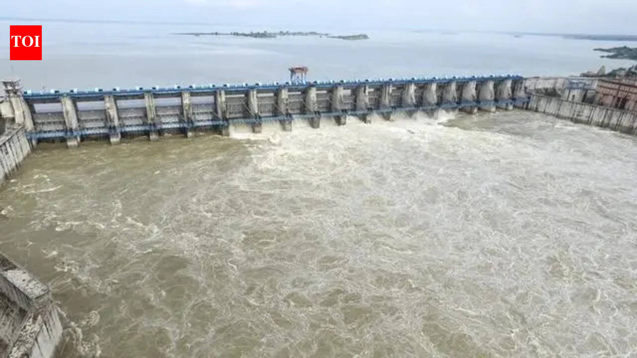 Rajasthan clears DPR for ₹7,893-cr Brahmani–Bisalpur water link ...