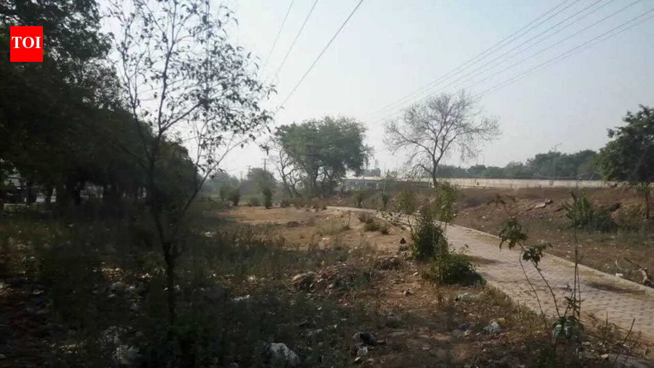 From urban oasis to jungle book: Ludhiana green belt goes wild ...