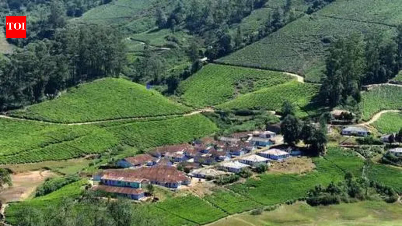 SC orders action against 118 officials for encroaching Megamalai ...
