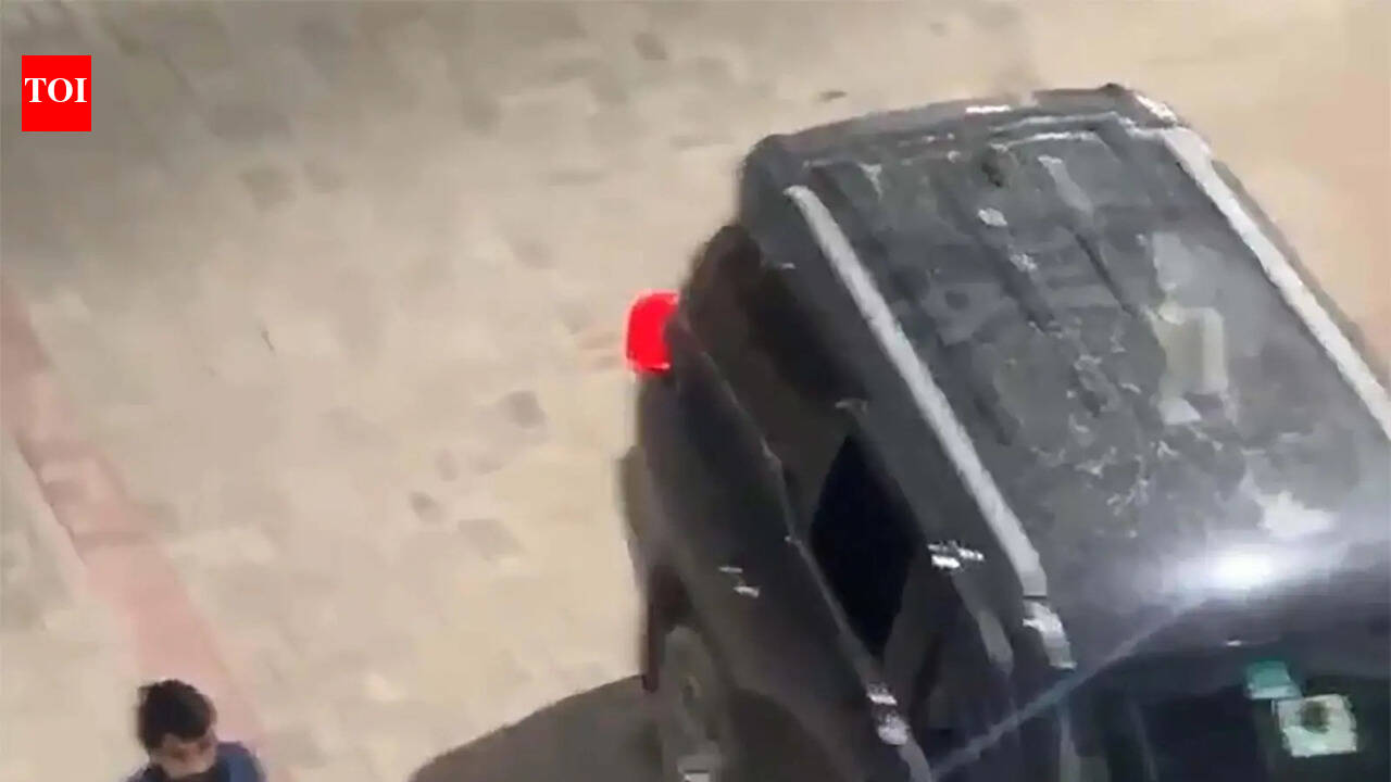 Dance on SUV bonnet, loud music, assault on guards: 3 detained for ...