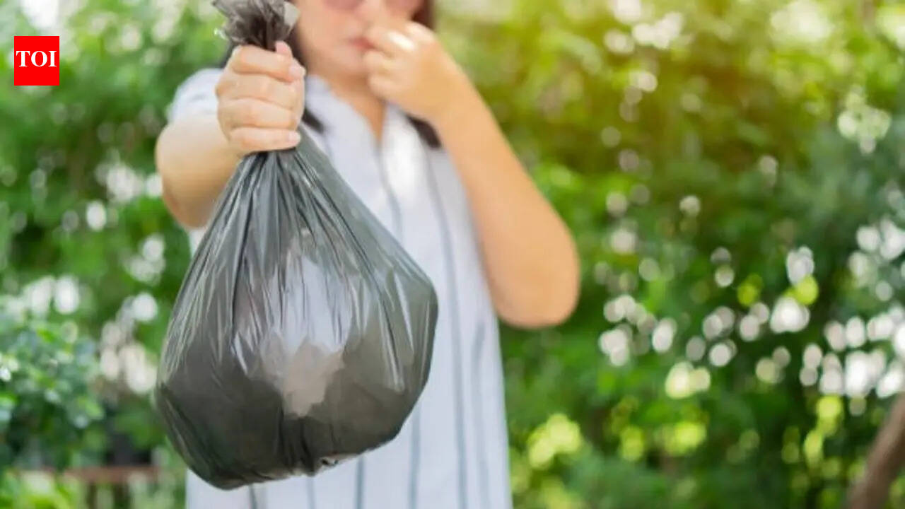 Why your compost bin smells bad: 7 Simple ways to compost kitchen waste ...