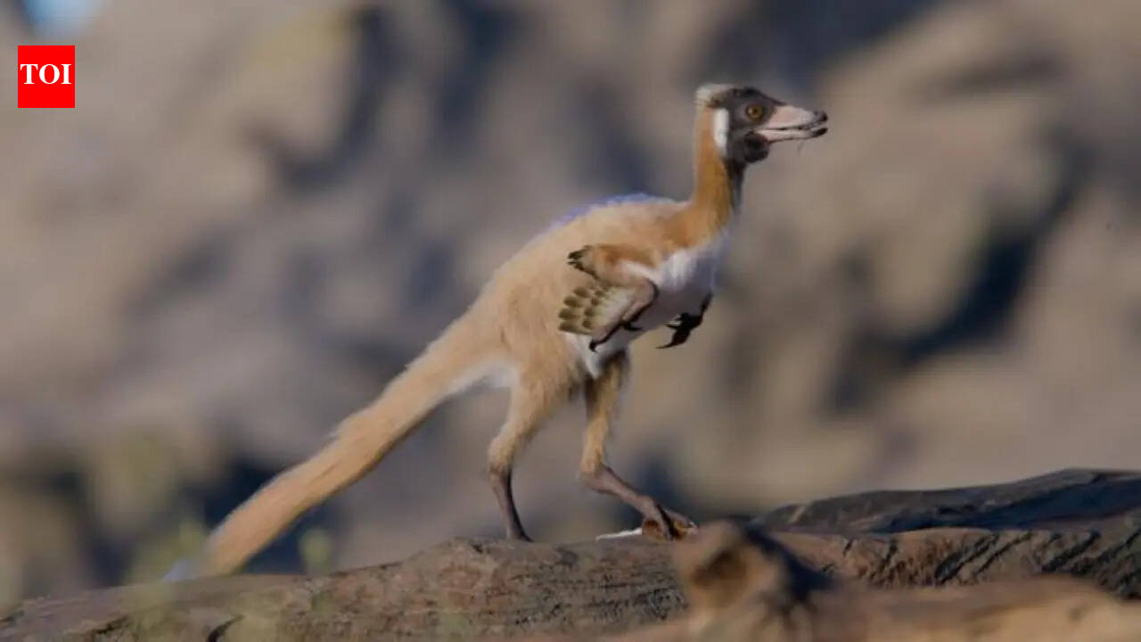 Not just giants: Fossil of the smallest dinosaur, about the size of a ...
