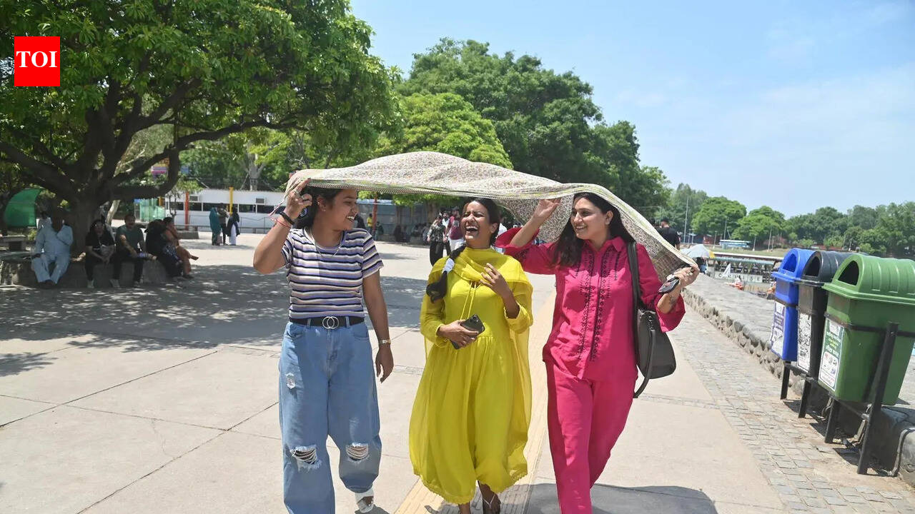 Rain, thunderstorms likely over next 3 days | Chandigarh News - The ...