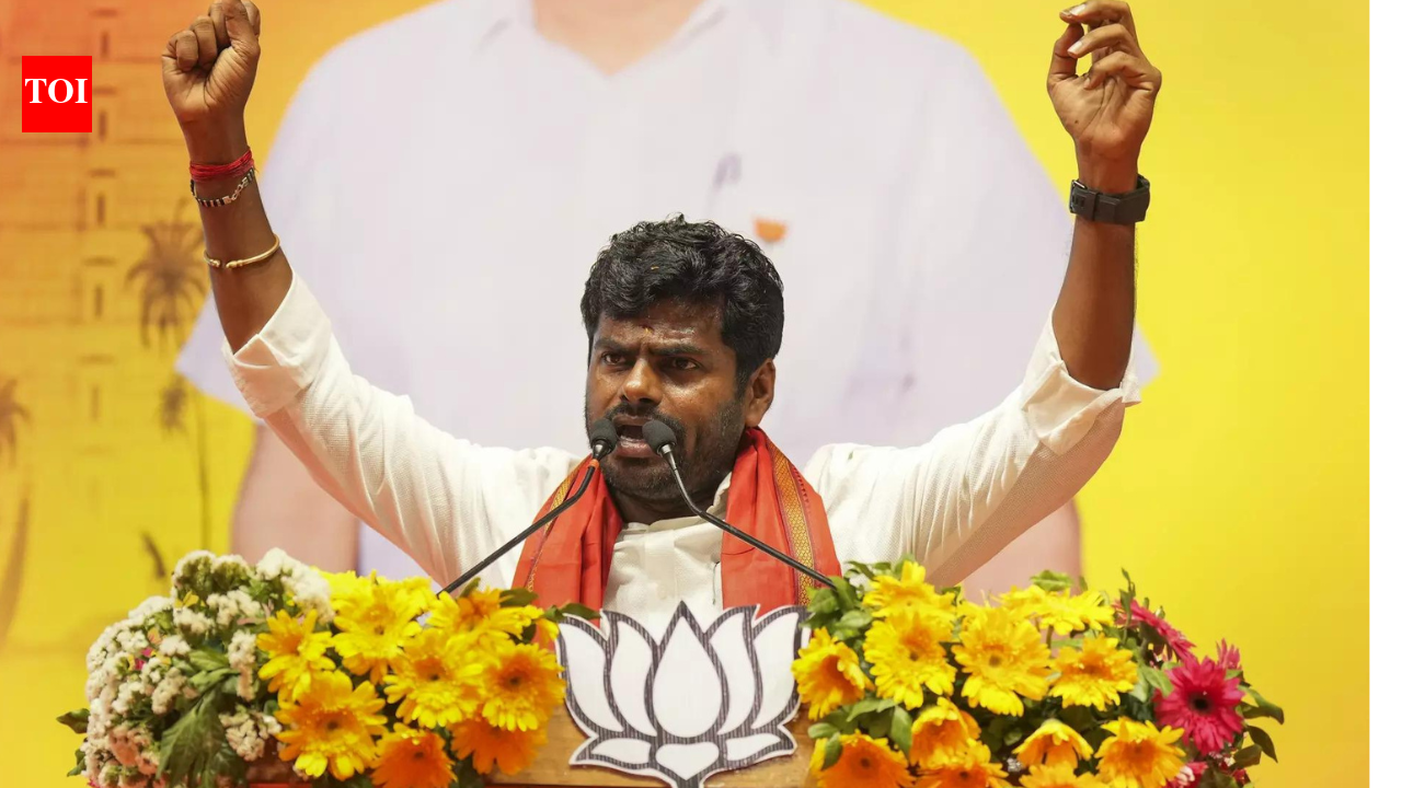 Annamalai plans secular-regional party with national outlook, redefined ...