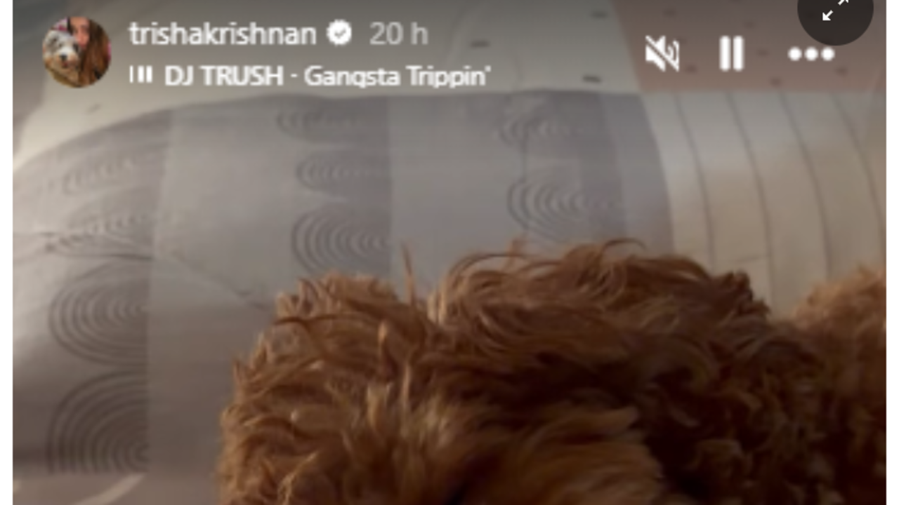 Trisha Shares Witty Post Amid Rumors Involving CM Vijay