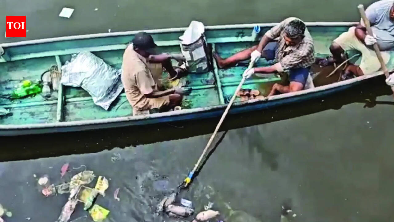 After Mala lake, dead fish surface in Campal Lakeview Colony waterbody ...