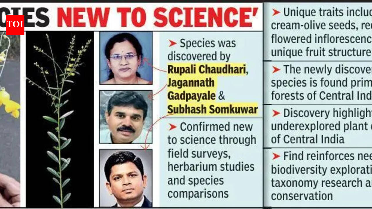 New Botanical Find In Umred Named After Savitribai Phule | Nagpur News ...
