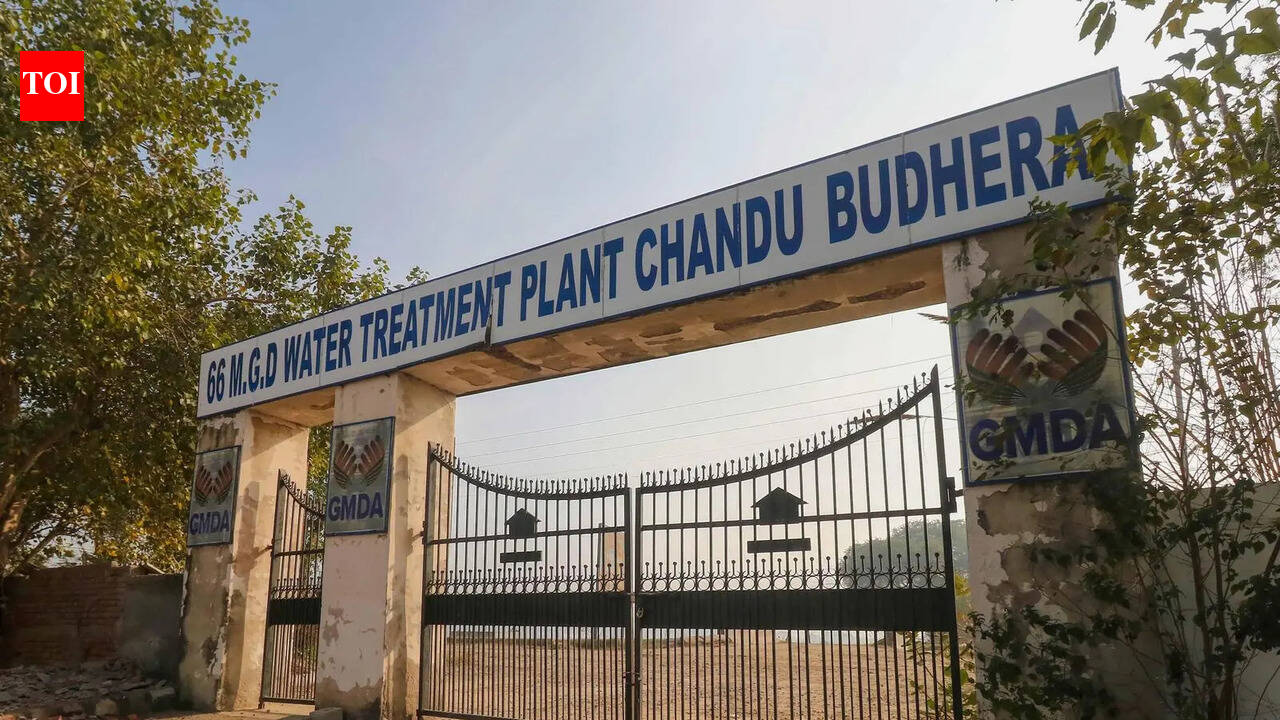 Make water plan for Gurgaon, keep 2051 population in mind: Minister ...