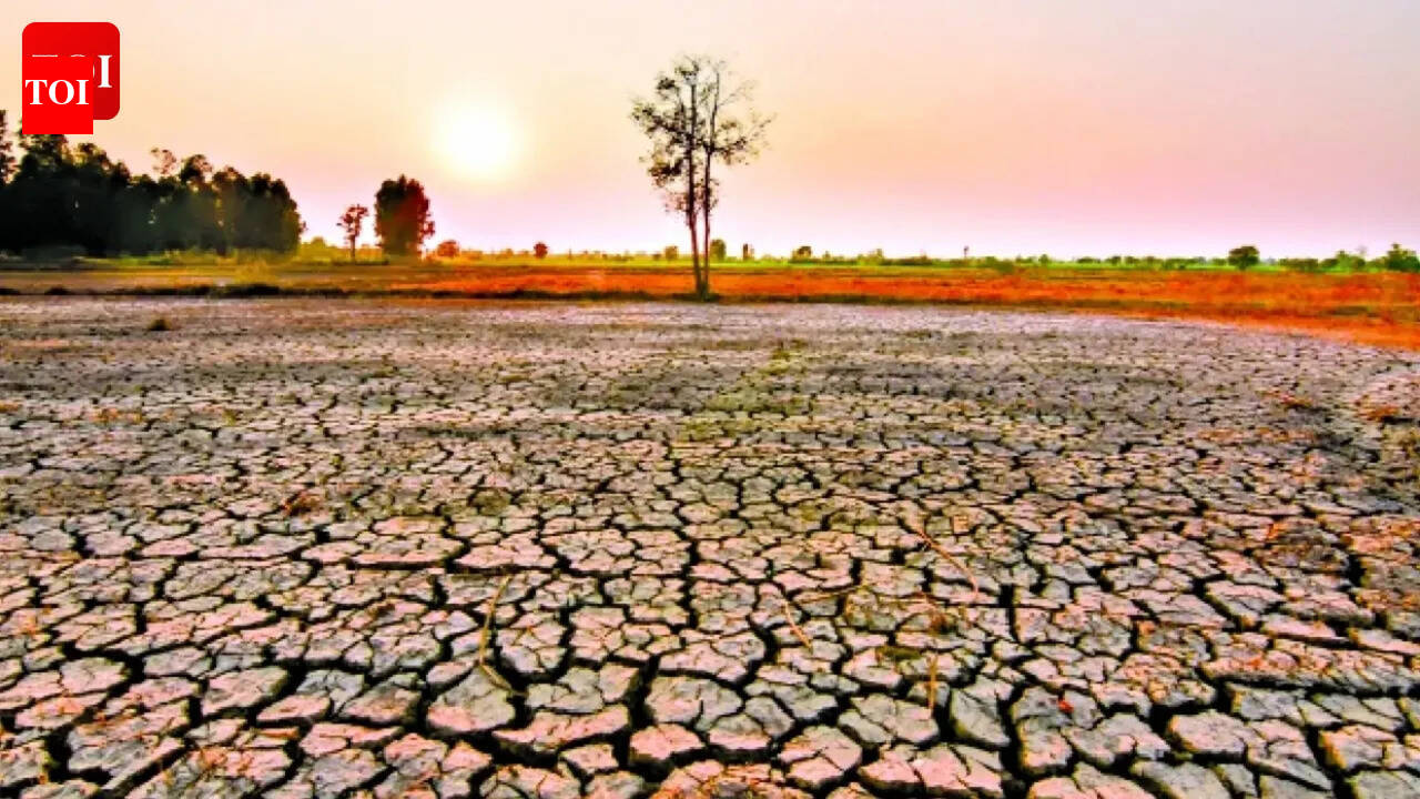 Heatwave: Super El Niño is coming back: What it means for climate ...