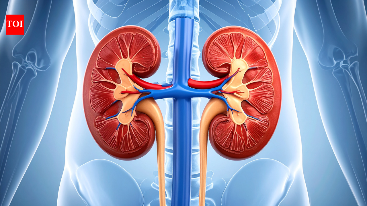 Chronic Kidney Disease could become a leading killer by 2040: Here's ...