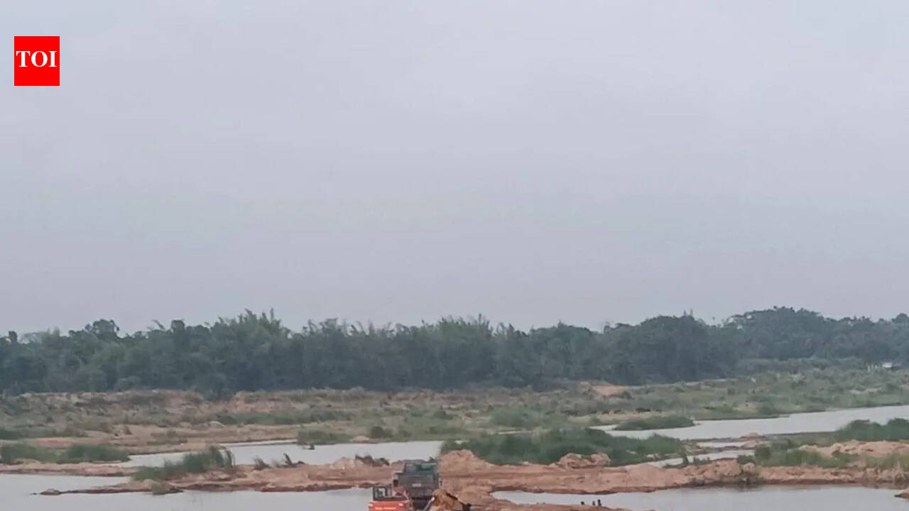 NGT sets up panel to probe ‘illegal sand mining in Rushikulya river ...