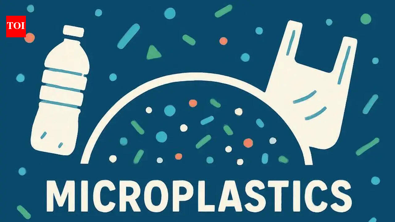 Microplastics found inside popular freshwater fish species in Udupi ...