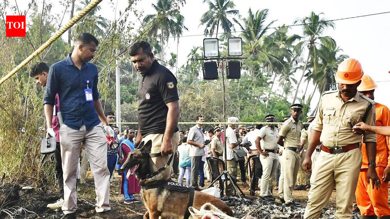 Cochin Devaswom to make firework displays more colourful, less noisy ...