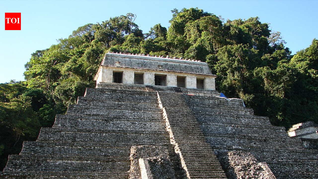 In 1952, a hidden staircase led archaeologists to a jade-masked Maya ...