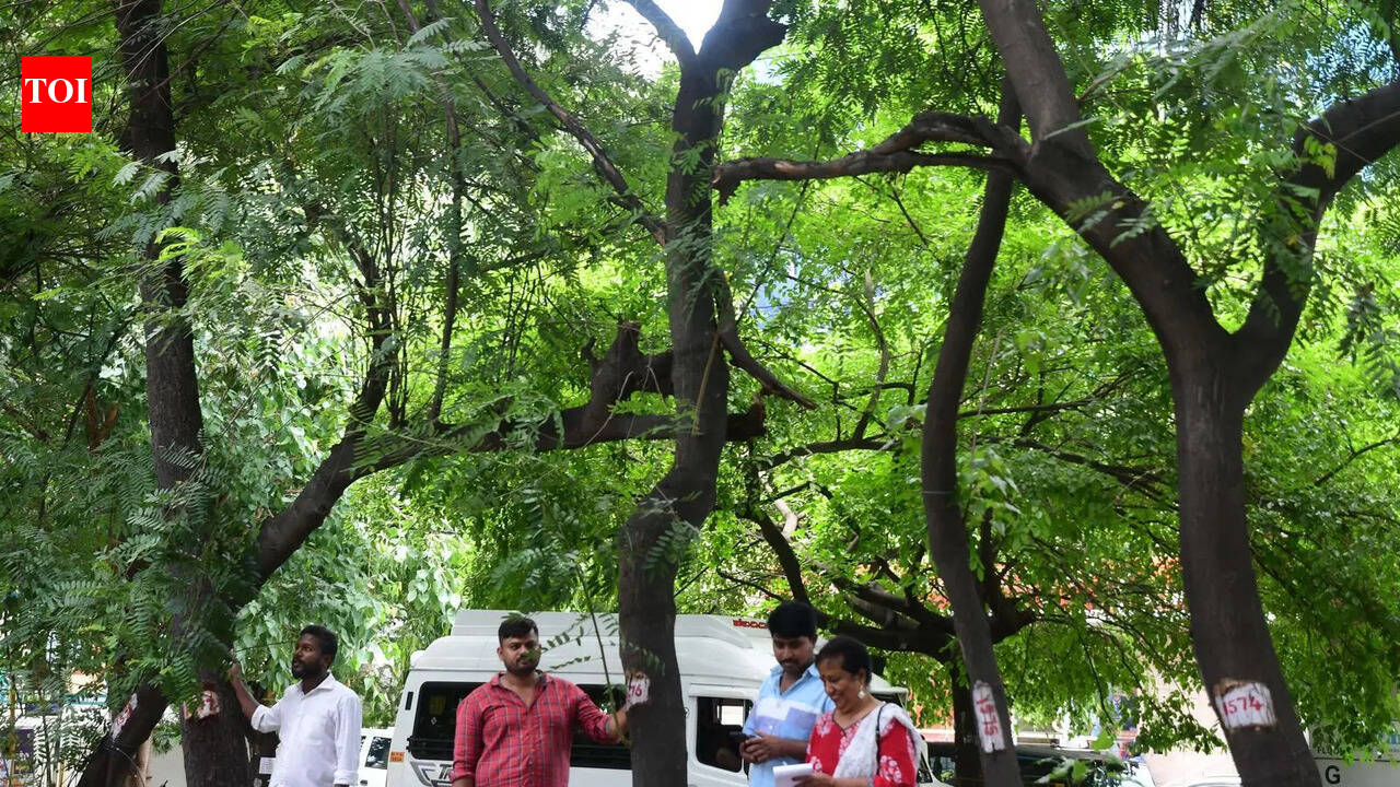 Two friends, 18 years & 468 trees: Bengaluru duo’s commitment grows ...