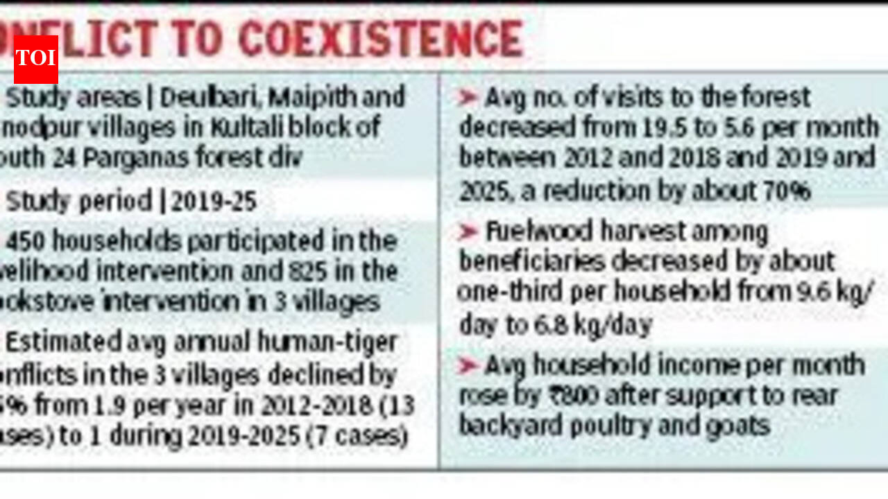 3 Sundarbans villages see 46% drop in tiger encounters | Kolkata News ...