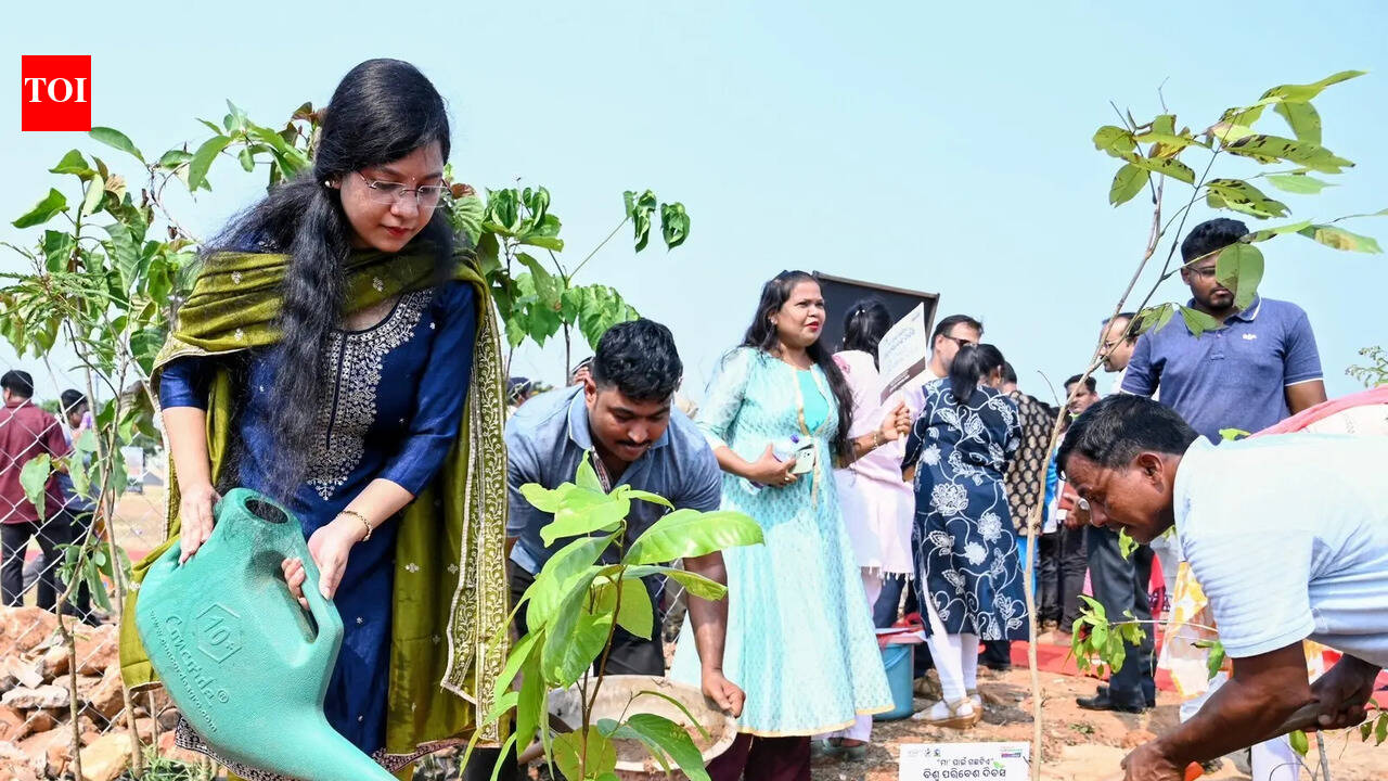 BMC carries out Miyawaki plantation over half an acre in Salia Sahi ...
