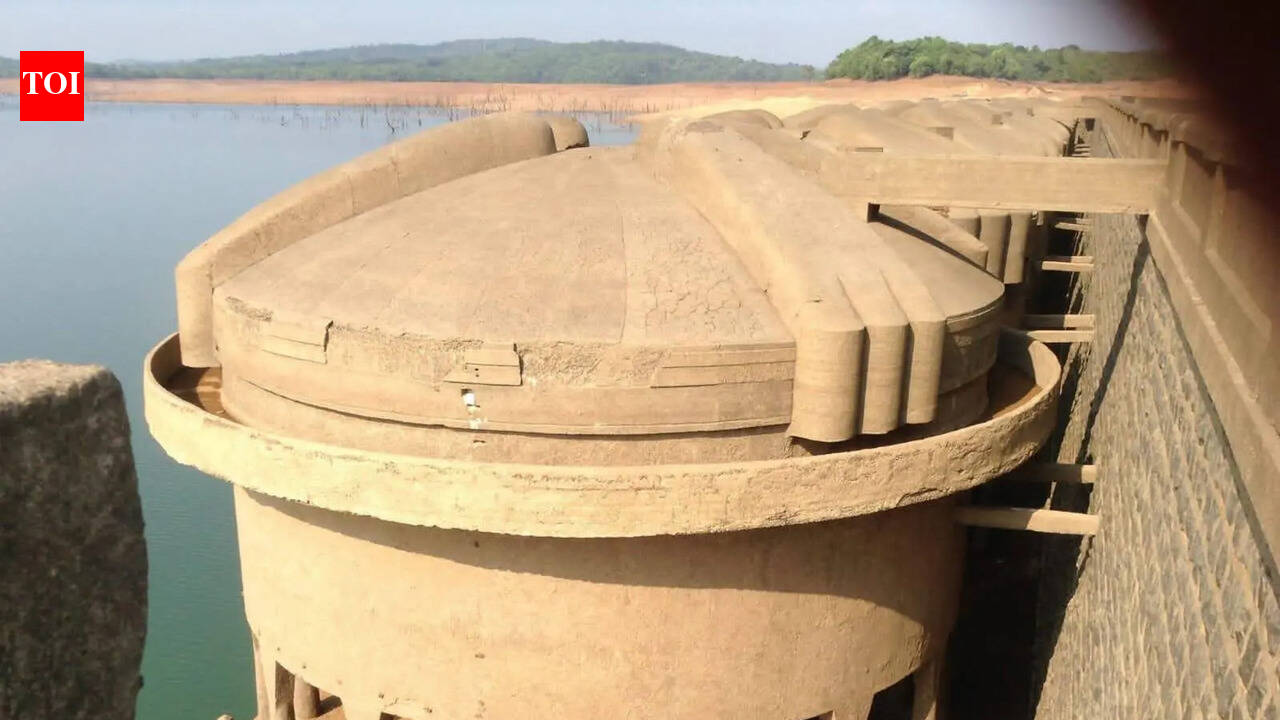 Forest department bans entry to resurfaced Hirebhaskara Dam | Mysuru ...