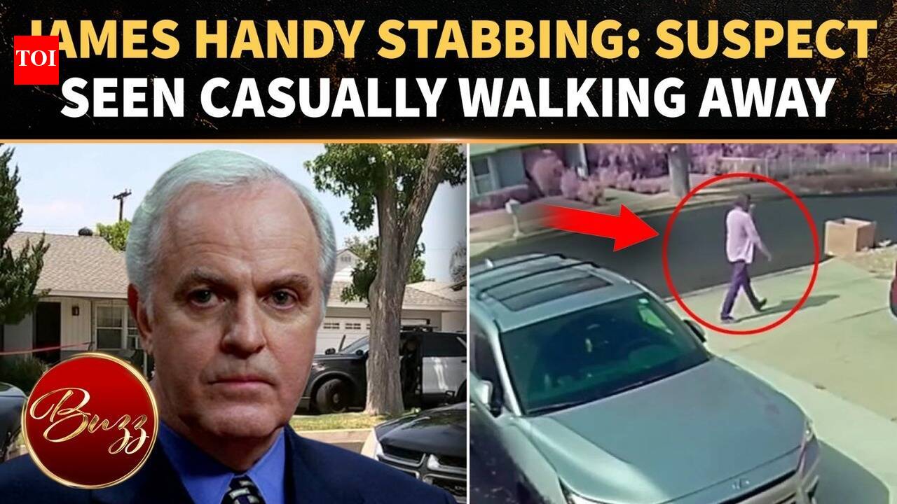 James Handy Tragedy: Chilling Footage Surfaces Following Fatal Stabbing