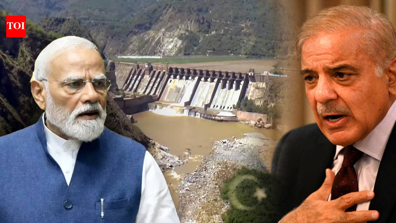 Indus Waters Treaty To Stay Suspended Until Pakistan Ends Support For ...