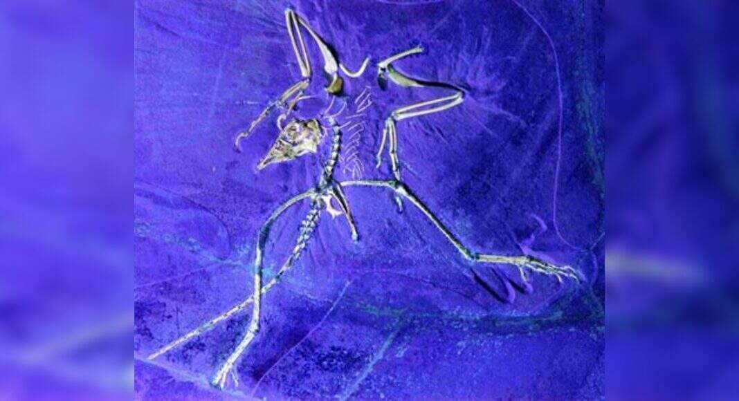 Image provided by the journal Science of an ultraviolet-induced ...