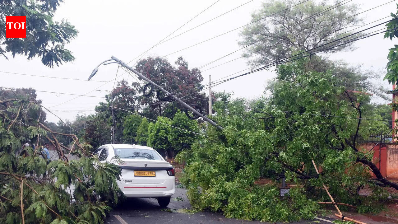 Hundreds of trees uprooted, traffic halted as nor’wester hits capital ...