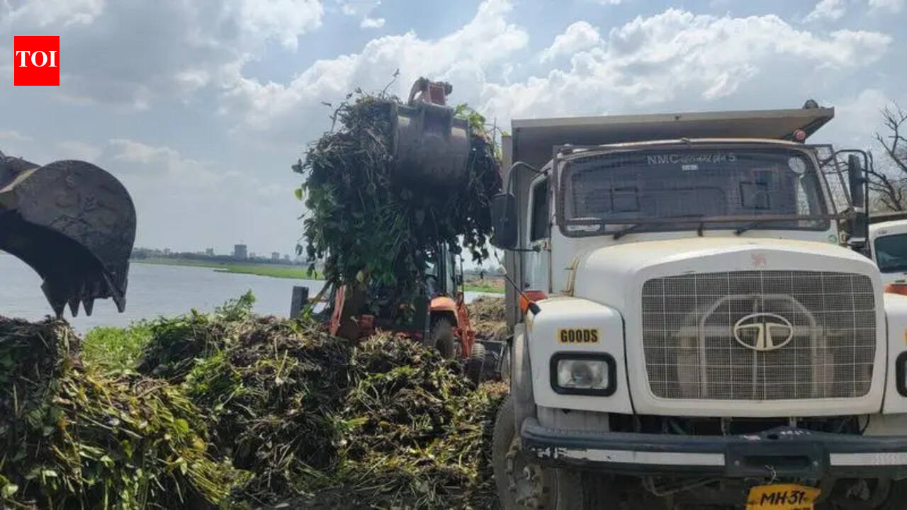 200 Tipper Trips Remove Water Hyacinth From Ambazari Lake, NMC Says ...