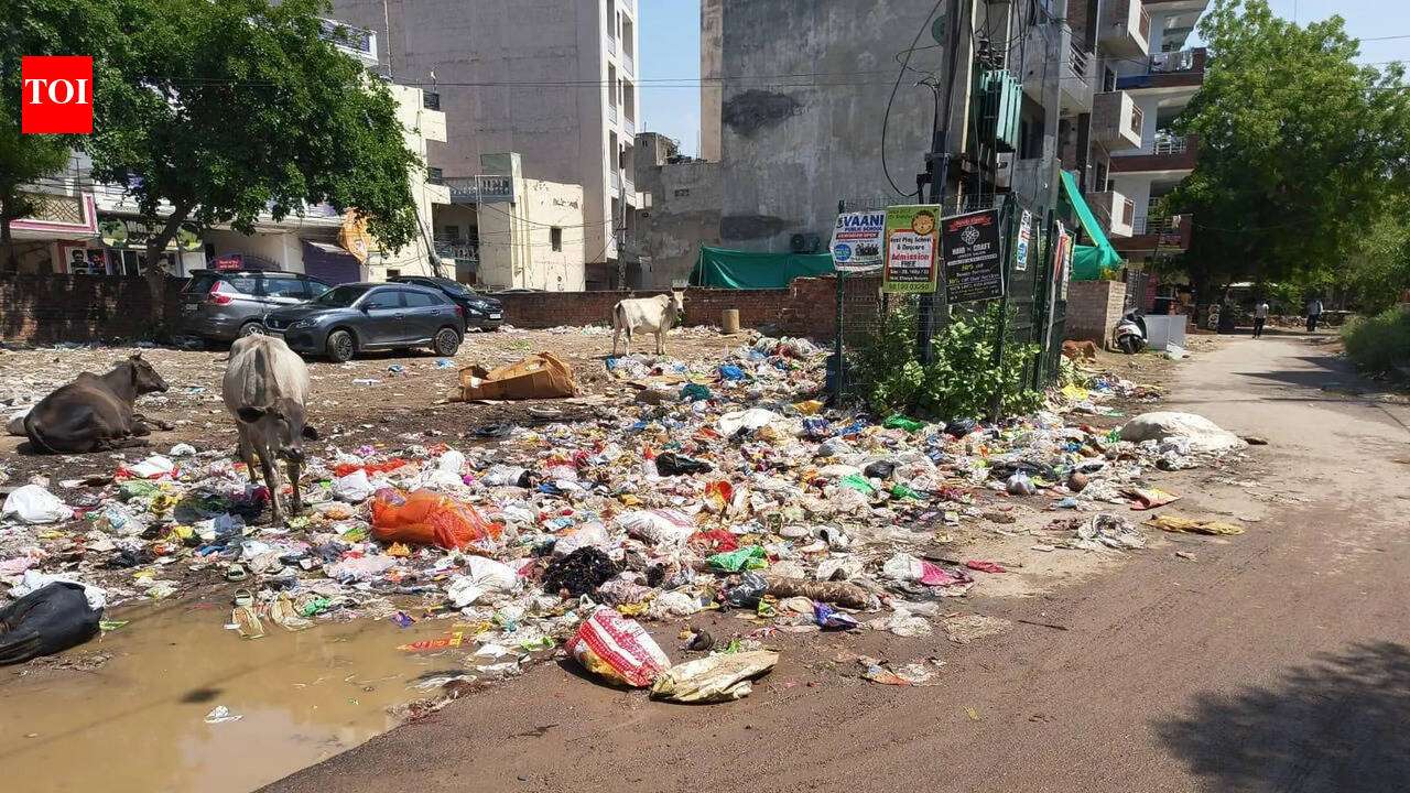 Illegal waste dumping: City to deploy more squads | Thiruvananthapuram ...