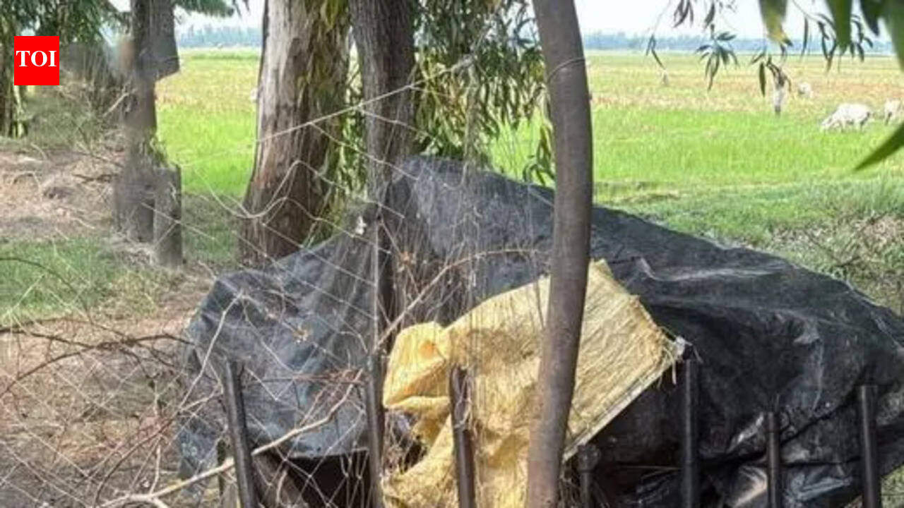 Massive arms haul in Sandeshkhali: Police dig up weapons from pond ...