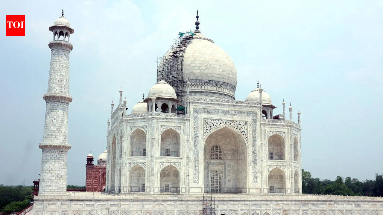 Their job is to find fault with the Taj Mahal - The Times of India