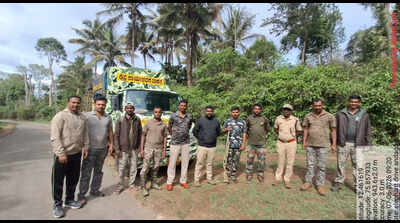 Foresters continue to look for killer elephant in Kodagu | Mysuru News ...