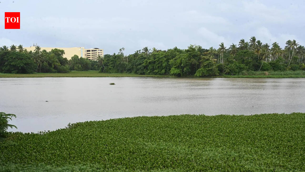 Akkulam, Kovalam revamp projects face uncertain future ...