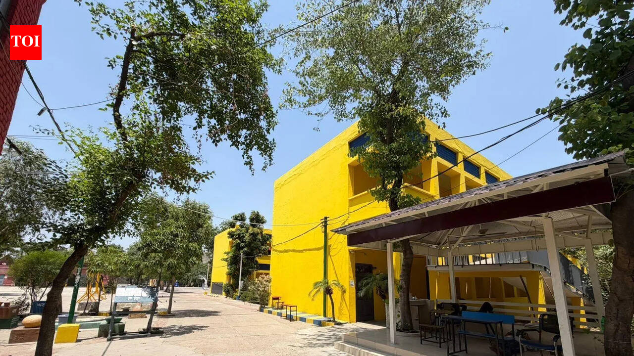 Fresh coat of confusion: Mishmash of school colours in Ludhiana after ...