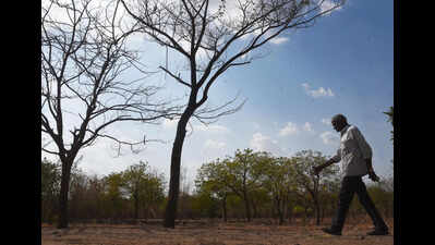 Overnight spell of pre-monsoon showers helps reduce June rainfall ...
