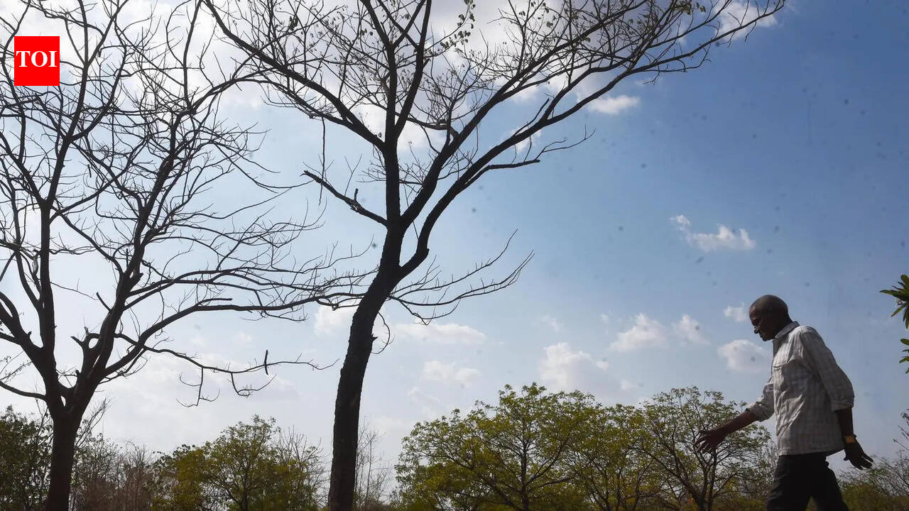 Overnight spell of pre-monsoon showers helps reduce June rainfall ...