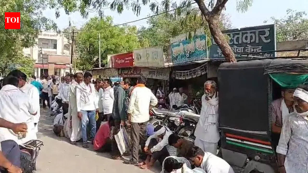 Urea shortage sparks chaos in Akot | Nagpur News - The Times of India