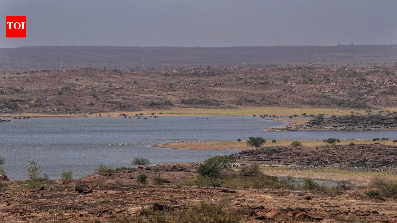 Vice President briefed on water conservation, river inter-linking - The ...