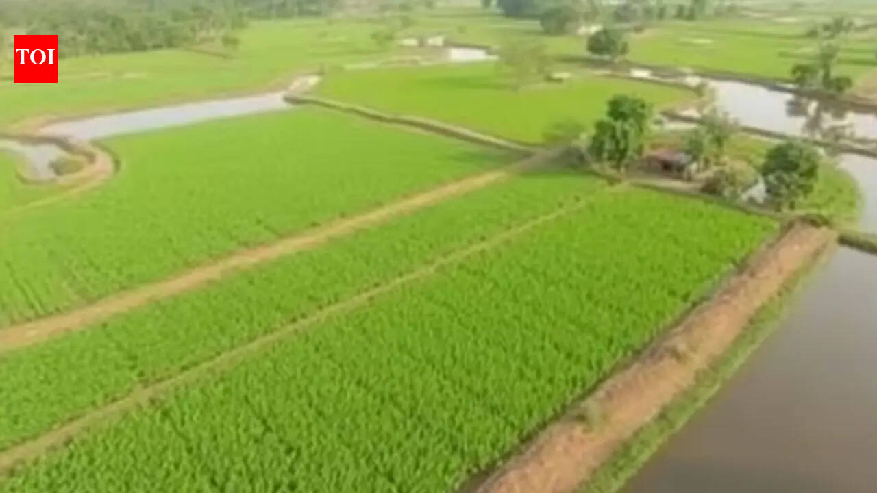 Tamil Nadu to assign guideline values to all land survey numbers by ...
