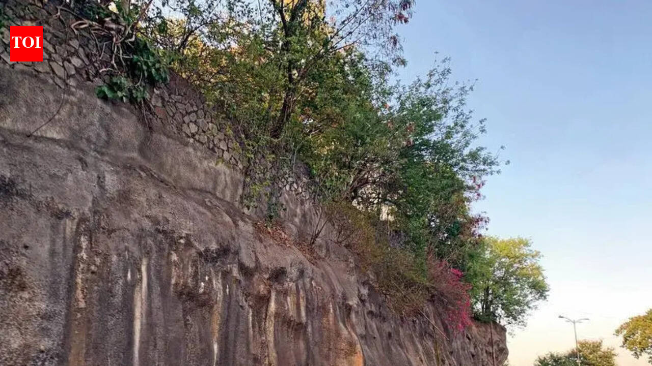 Trees first to go in proposal for flyover, grade separator at crucial ...