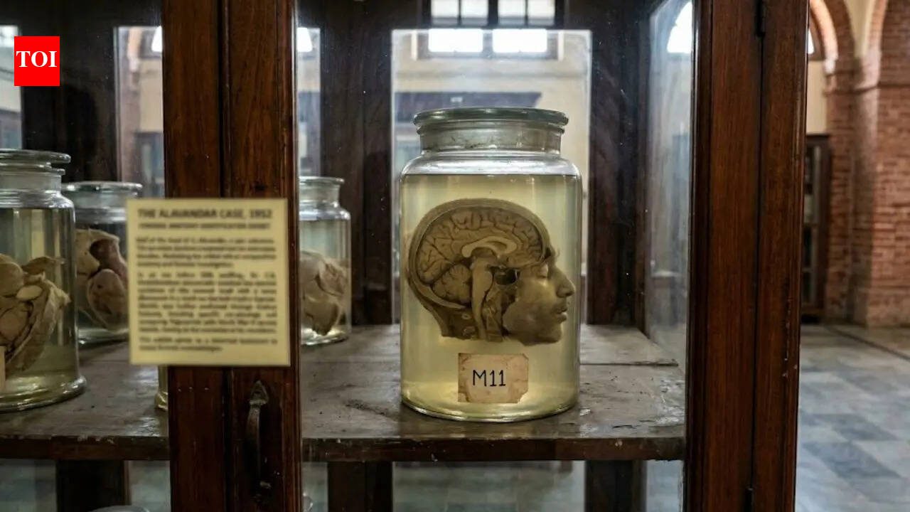 A head in a jar for 74 years: As another beheading case shocks Chennai ...