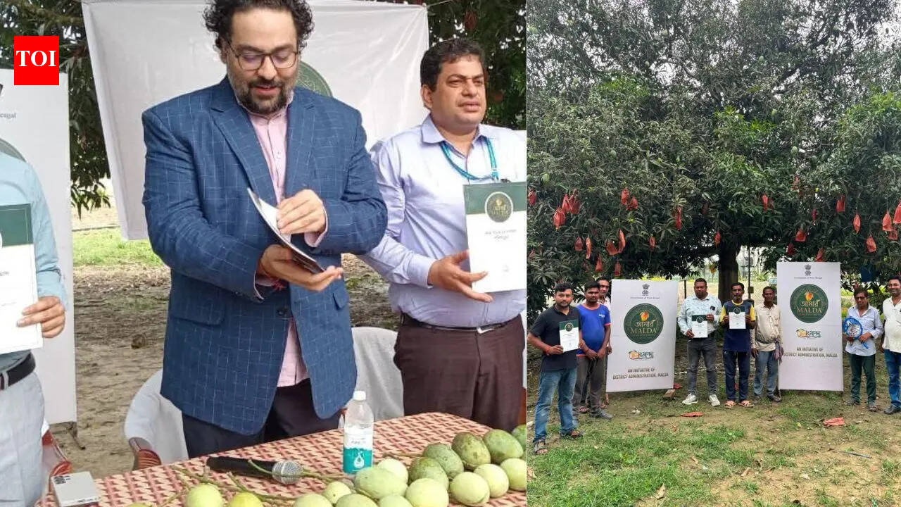 'Aamar Malda': Malda district plans mega mango tourism circuit to put ...