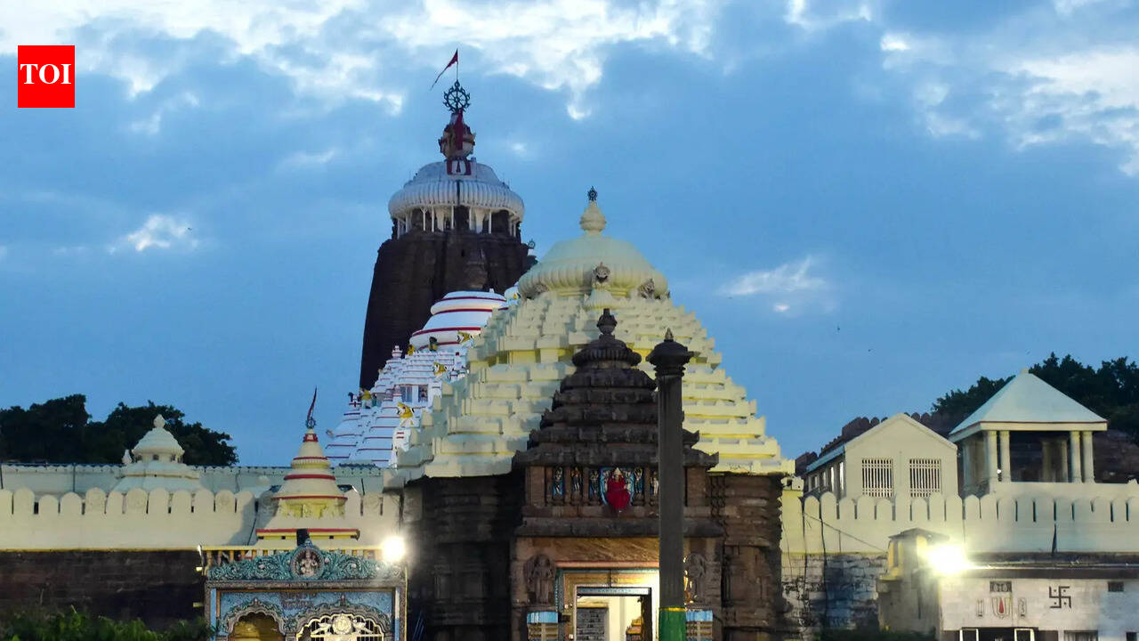 72 police platoons for Debasnan Purnima in Puri: DGP | Bhubaneswar News ...