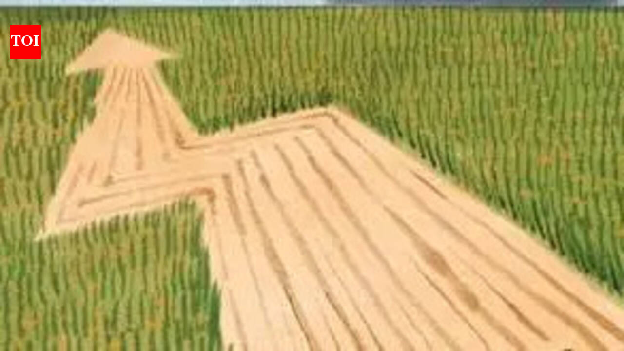 Govt sets up panel after former Karnataka MLA flags Rs 80-crore land ...