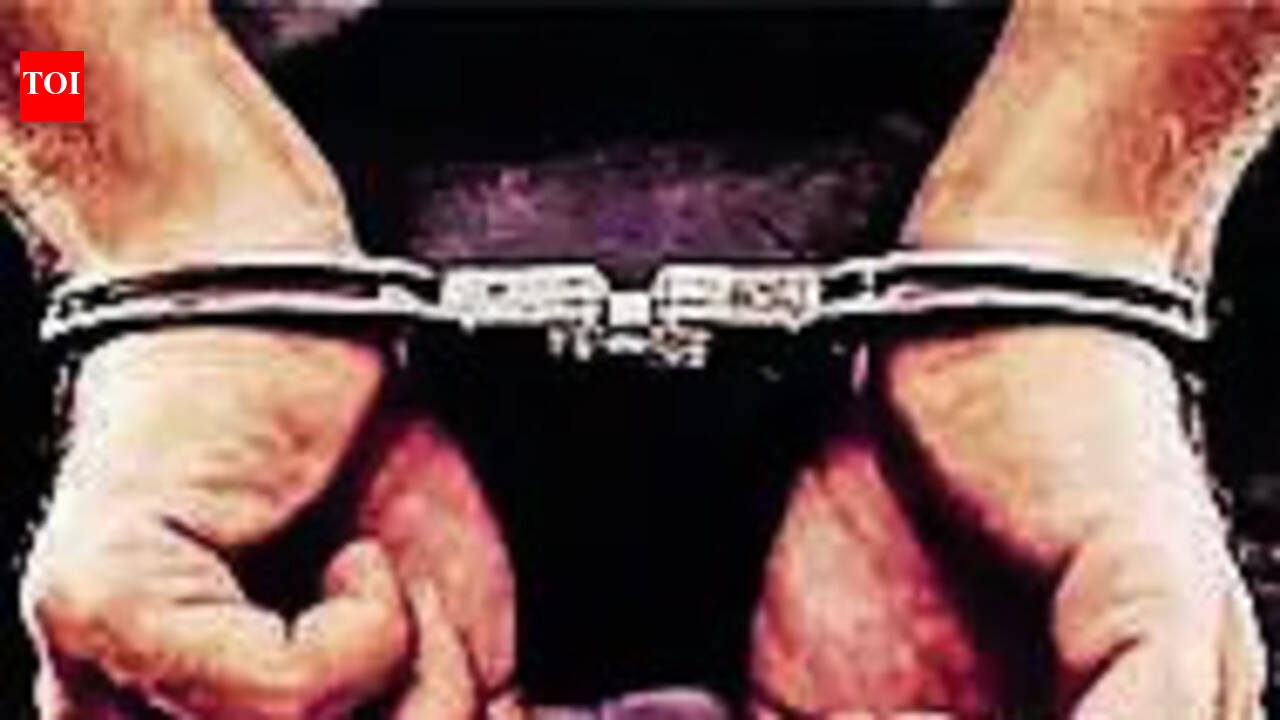 Robbers threaten cousins with sack needle, two nabbed | Delhi News ...