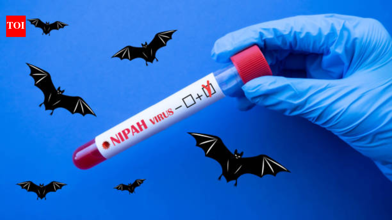 Fresh Nipah case in India: What the symptoms look like, how it spreads ...