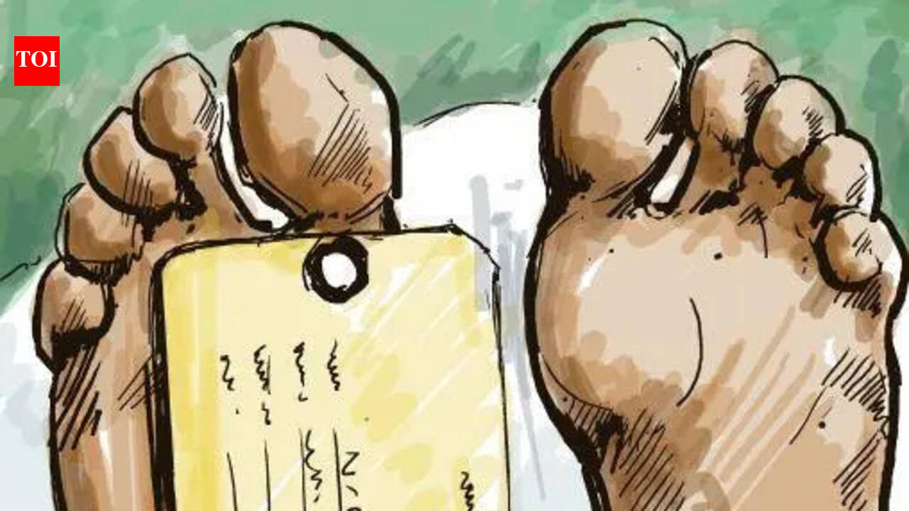 One killed, 12 injured in tractor-van collision near Kanchi | Chennai ...