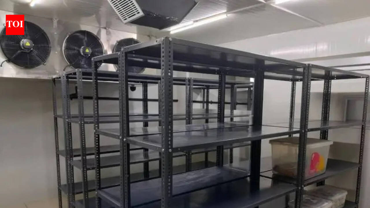 A new vault for green gold: PAU opens state-of-the-art gene bank ...