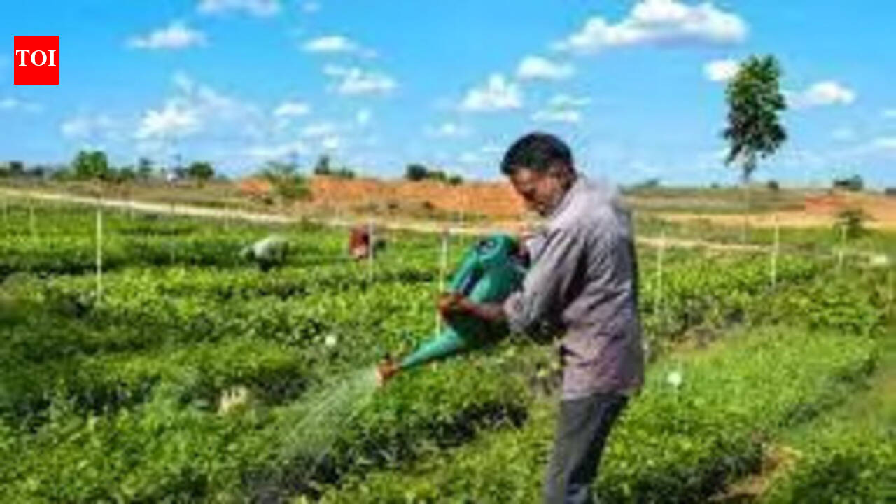 Cauvery Calling to hold seminar on food forests, sustainable farming at ...